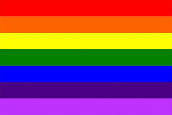 Gay History: The Complete Guide to Every Queer Pride Flag | timalderman