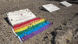 Gay History: The Pink Triangle: From Nazi Label to Symbol of Gay Pride ...