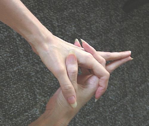 Buddhism 101: Hand Mudras | timalderman