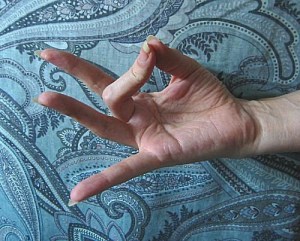 Buddhism 101: Hand Mudras | timalderman