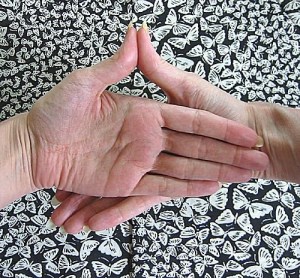 Buddhism 101: Hand Mudras | timalderman