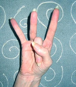 Buddhism 101: Hand Mudras | timalderman